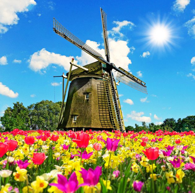 Primavera europeia: 5 formas de aproveitar a estação - edublin