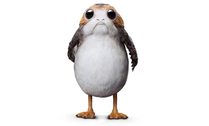 Index of /wp-content/uploads/2021/04