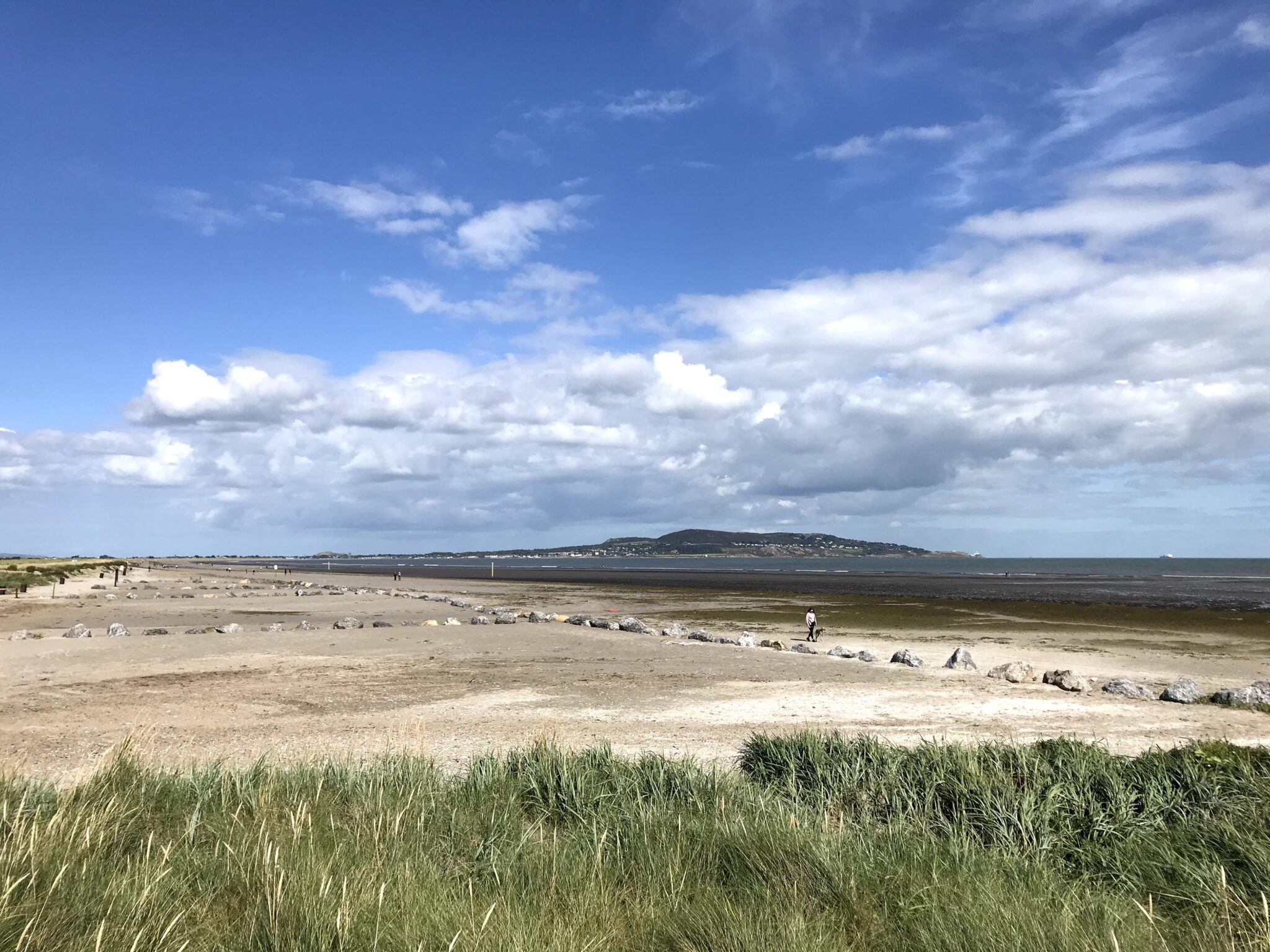 Praia de Dublin, Bull Island será fechada parcialmente para visitantes